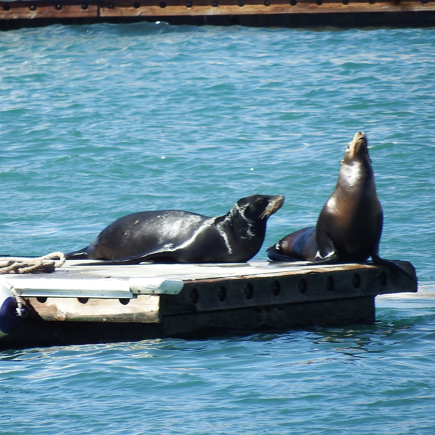 Cabo San Lucas, Mexico – Johnson's Travel